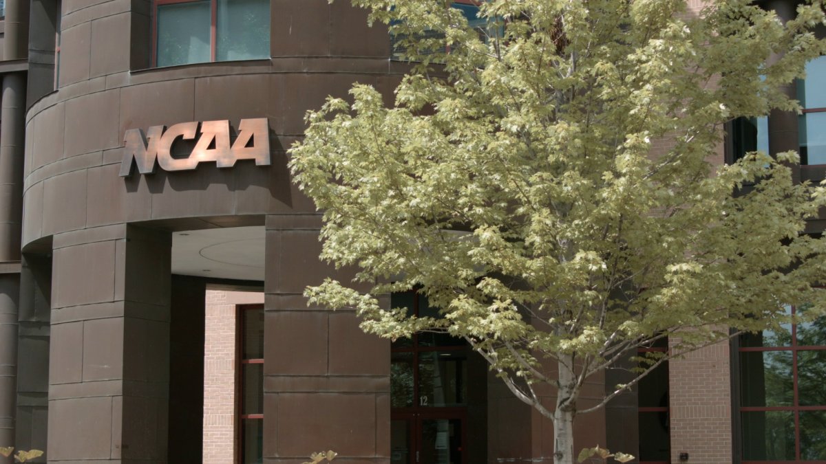NCAA transfer portal: What it is, how it works – NBC Sports Boston